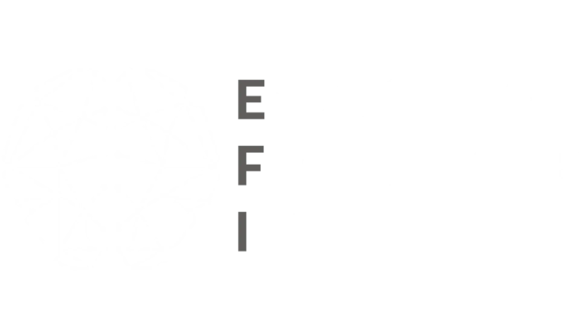 Ecosistema Srl Trieste