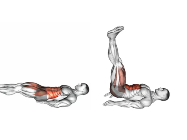 dolphin kicks back exercise