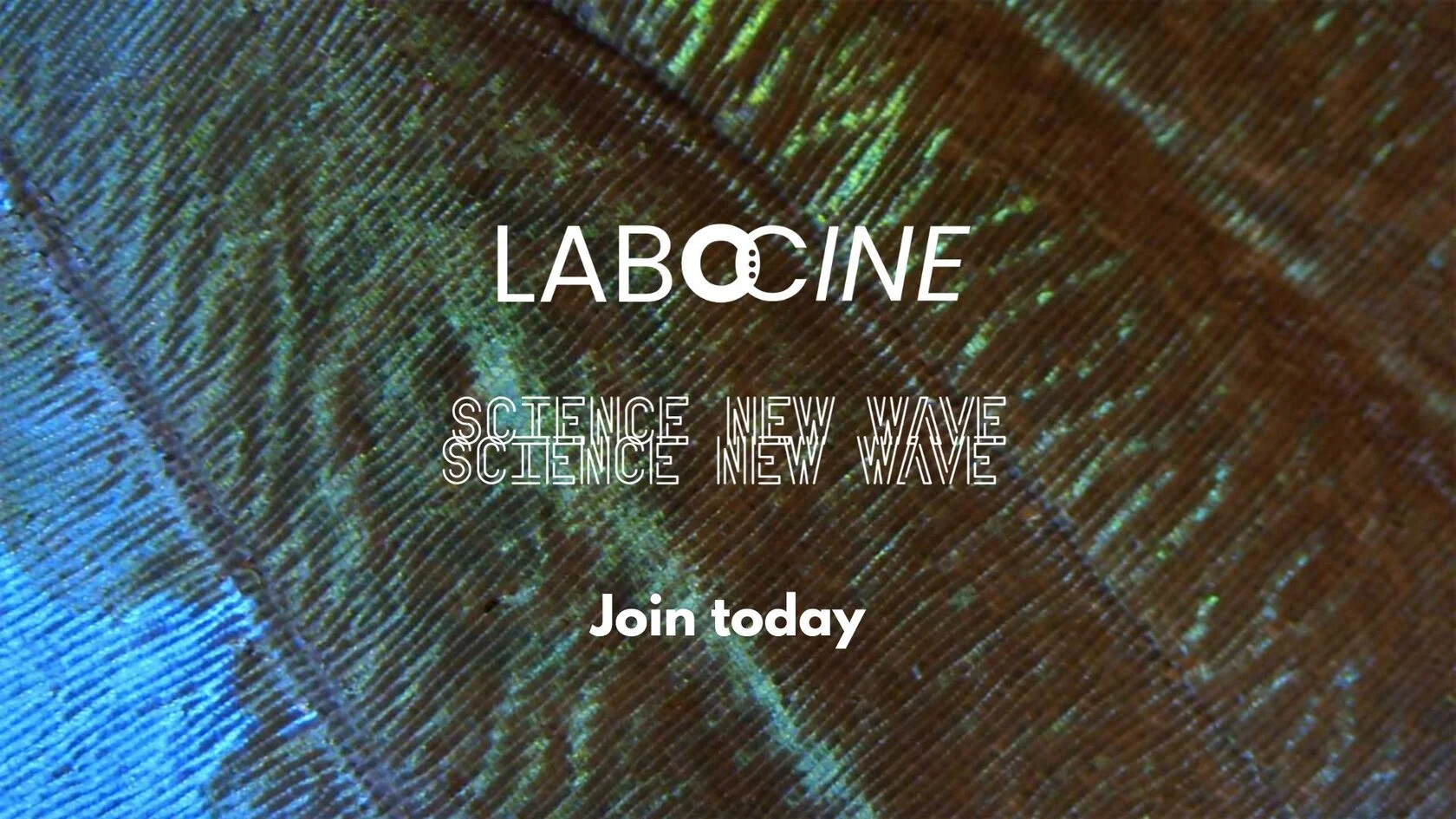 Image Science Imagine Science Films (@imaginescience) • Instagram