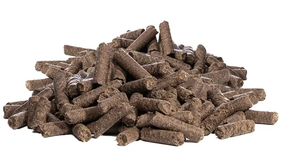beet pulp pellets for sheep