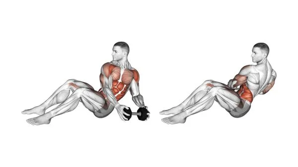 dolphin kicks back exercise